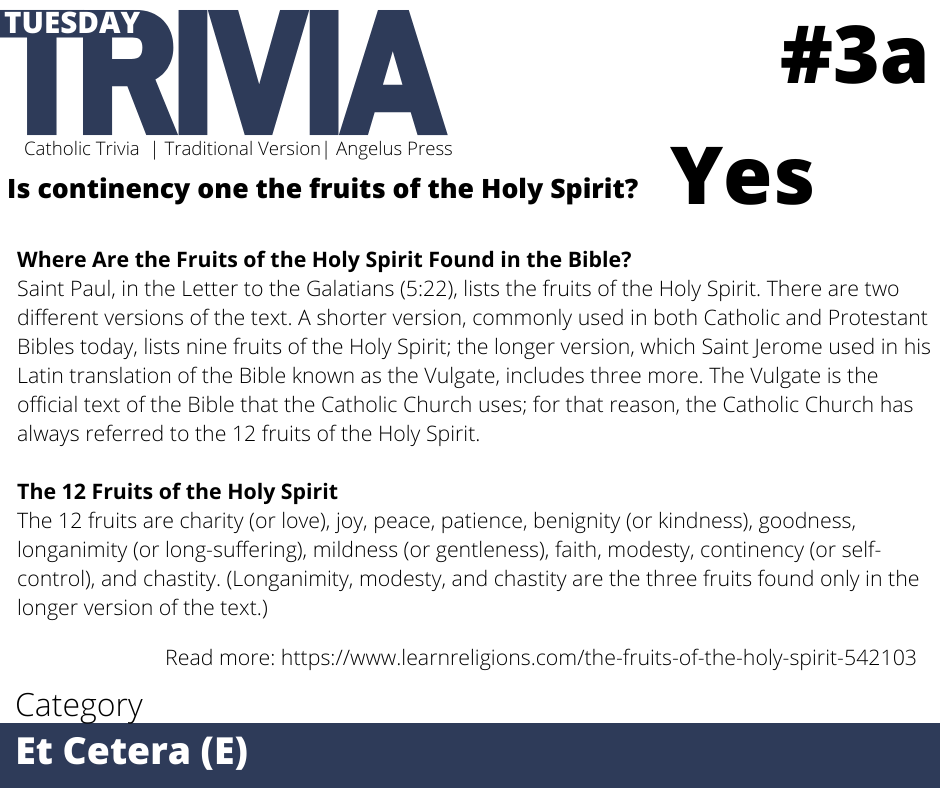 Saint Raymond | Welcome. Love. Serve.