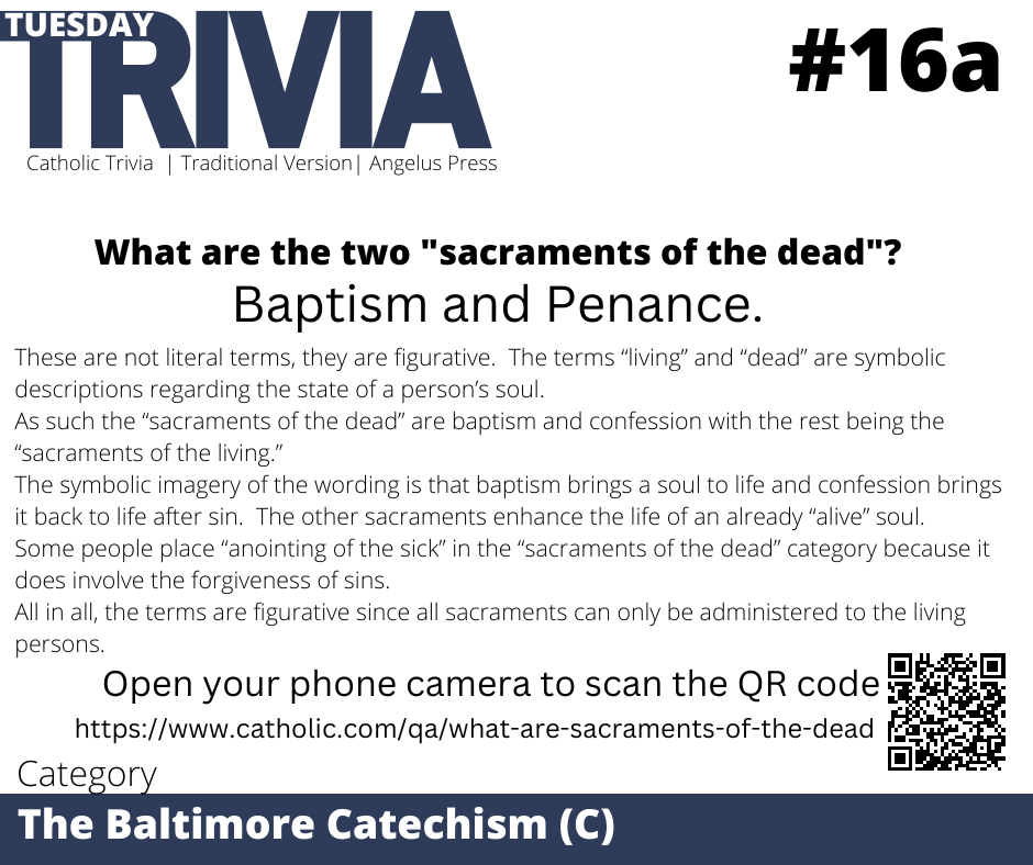 Saint Raymond | Welcome. Love. Serve.